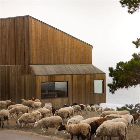 The Sea Ranch Lodge Mithun Artofit