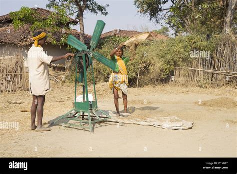 Tribal Couple Winnowing Using Wind Gond Tribe Gadchiroli Maharashtra