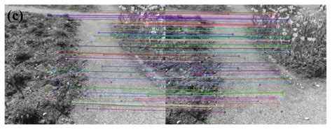 Horticultural Image Feature Matching Algorithm Based On Improved Orb And Lk Optical Flow