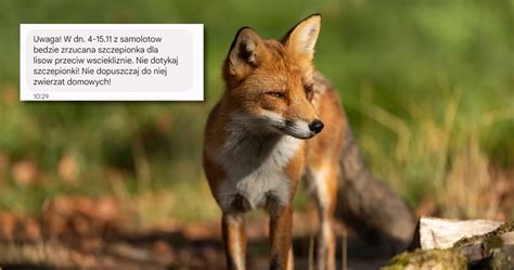 Z samolotów będą zrzucane szczepionki Jest alert RCB