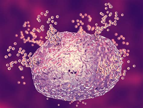 Similarities Between Endocytosis And Exocytosis