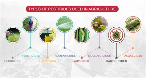 Types Of Pesticides Used In Farming Importance And Benefits