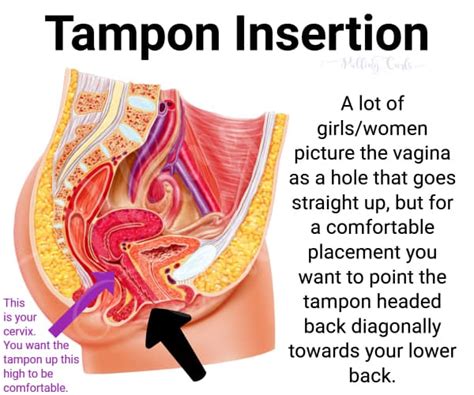 Does Your Tampon Fill With Urine Tips For New Users