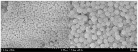 Selenium Doped Mesoporous Silica Antibacterial Material And Preparation