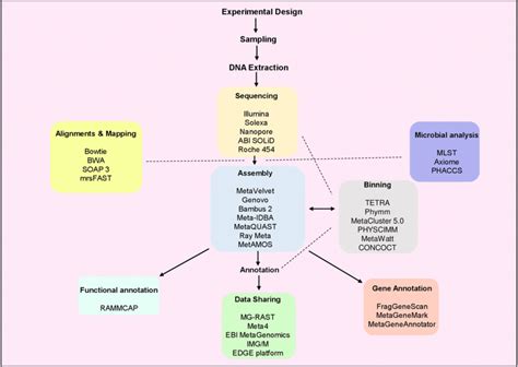 Bioinformatics Tools For Sequencing And Downstream Analysis Of
