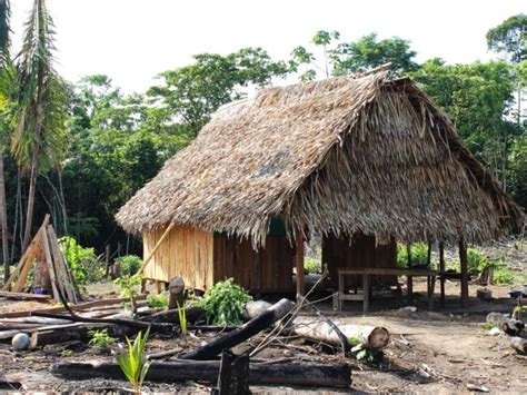 Mennonites In Peru The Hidden History Of The Delivery Of Forests In