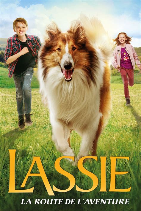 Regarder Lassie La Route De Laventure 2020 Film Complet Streaming Vf Pixgeeks