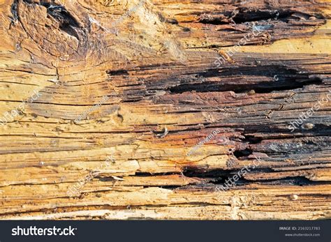 Weatherbeaten Board Showing Discolored Nail Holes库存照片 Shutterstock