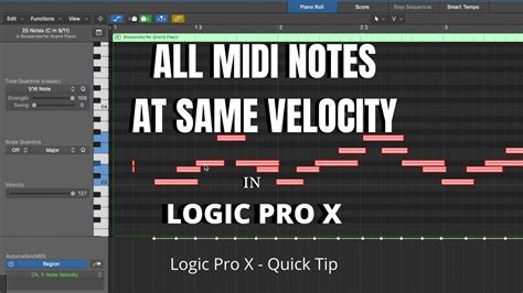 Make All Midi Notes The Same Velocity Quickly Logic Pro X Quick Tip Youtube