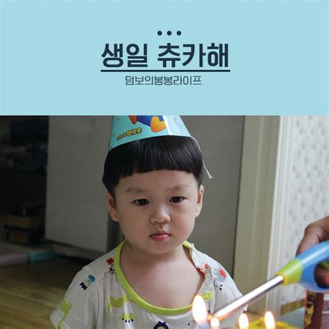 두돌 생일상 심바 생일파티 츄카해 2번째 생일을 네이버 블로그