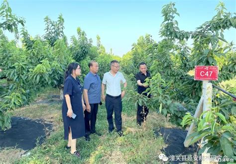 红云 弘扬延安精神 助力乡村振兴 用好传家宝 奋进三个年主题宣讲活动系列报道