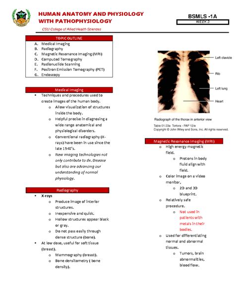 Unit 1 Notes With Pathophysiology Week 3 Bsmls 1a Csu College Of