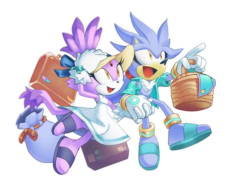 Pin By Paula On Sonic Couples Hedgehog Art Sonic Fan Art Sonic Art