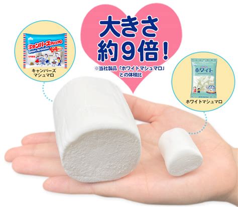 キャンパーズマシュマロ マシュマロ情報サイト エイワのマシュマロ 株式会社エイワ