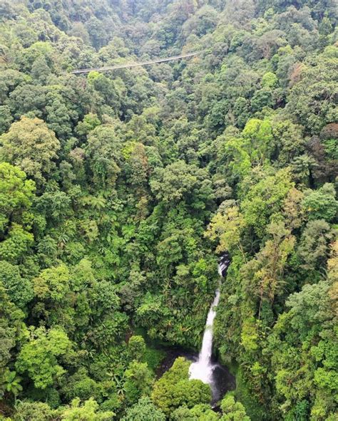 Curug Sawer Sukabumi Kesegaran Air Terjun Penghilang Penat