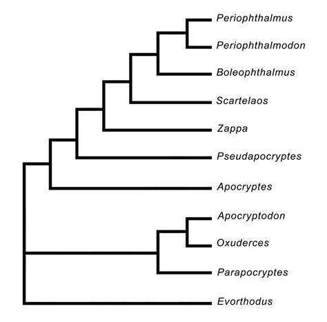 Cladogram Of Oxudercinae At The Genus Level Based On A Set Of