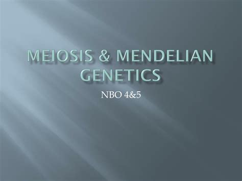 Ppt Meiosis And Mendelian Genetics Powerpoint Presentation Free Download Id 6898746