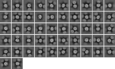 Cannot Align Small Protein Complex Particles Cryosparc Parameters