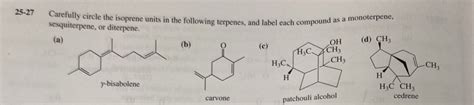 Solved Carefully Circle The Isoprene Units In The Following