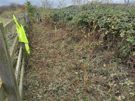 Sapling Planting Ilott Wharf Session 1 Ashby Canal Association Volunteers