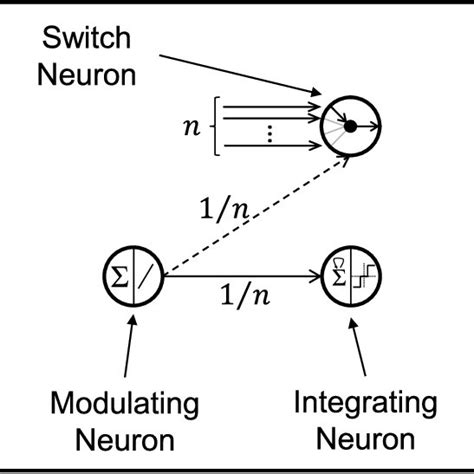 The Switch Module Contains Three Neurons The Switch Neuron Has N
