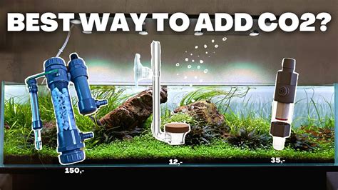 How To Make Co2 In Aquarium At Ana Means Blog