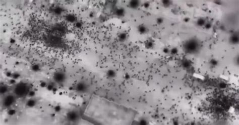 ماذا حدث فى دوار النابلسى الاحتلال ارتكب مجزرة فى حق المدنيين
