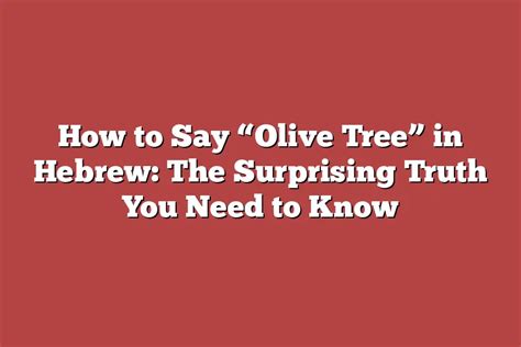 How To Say “olive Tree” In Hebrew The Surprising Truth You Need To