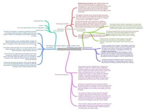 Sensation And Perception Coggle Diagram
