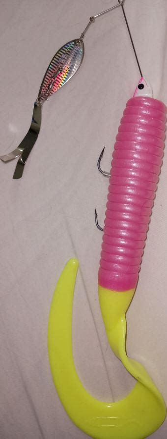 In Cold Weather Try Slow Rolling A Spinner Bait Without The Skirt