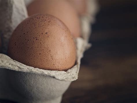 Apple Developers Targeted By New Malware EggShell Backdoor ZDNet