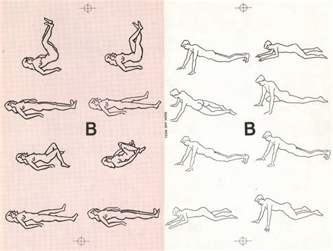 Mitch O Connell Dynamic Intercourse