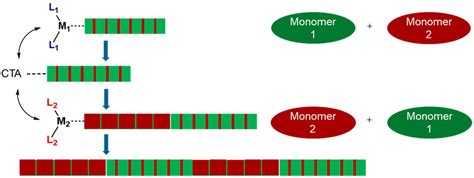 Tuning The Thermal Properties Of L Lactideε Caprolactone Chain Shuttled Copolymers Via