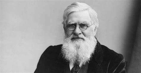 Alfred Russel Wallace El Otro Padre Olvidado De La Teoría De La
