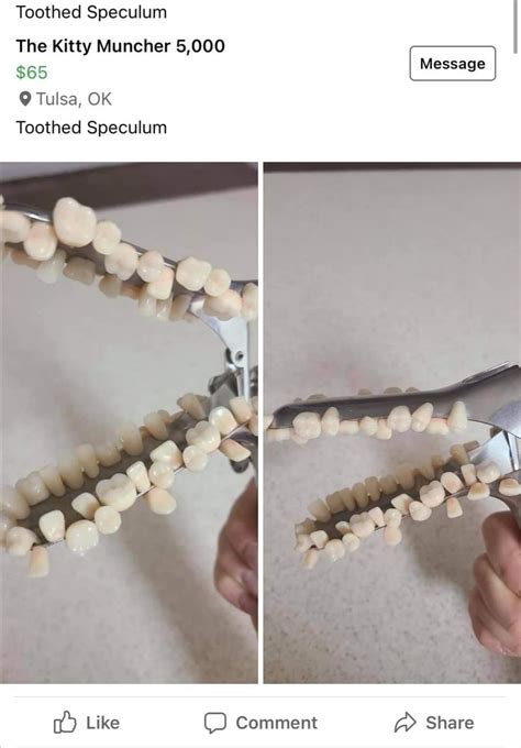 The Kitty Muncher R Crackheadcraigslist