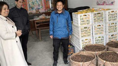 医生垫付500元，4年后患者丈夫还钱西南视频 梨视频官网 Pear Video 梨网站