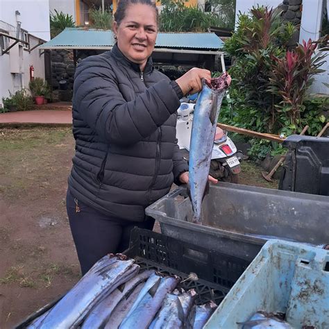 Cabañas Moana Nui Moananuirapanui • Instagram Photos And Videos