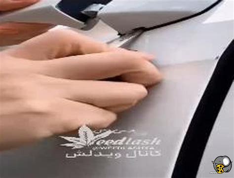کمتر کسی اینو میدونه فیلو