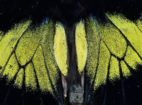 Photography Of Strange Patterns In Nature