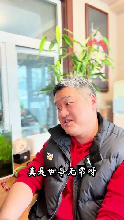 安慰一下新东方 教培机构 顺势而为 止损 内容过于真实 Youtube