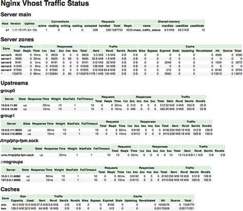 ready for scraping nginx metrics nginx vts exporter prometheus grafana by anton shevtsov