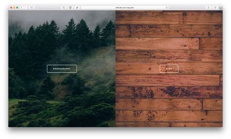 Side By Side Images With Centered Widget Areas In Altitude Pros Front Page Sridhar Katakam