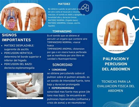 Palpacin Y Percusion Del Abdomen Vivian Cardenas Udocz