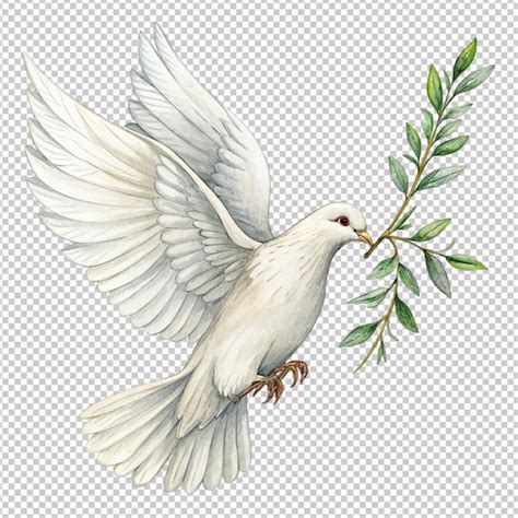 White Dove Carrying Leaf Premium Ai Generated Psd