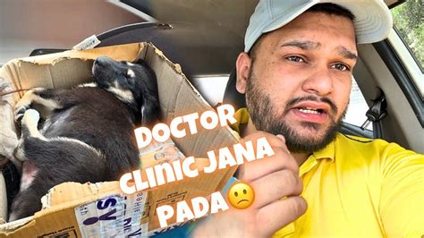Chote Puppy Ko Leke Gaye Doctor Clinic 🥺 Youtube