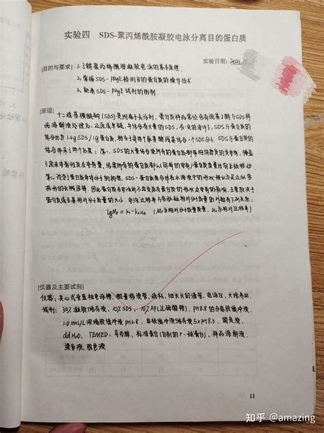 生物化学：sds 聚丙烯酰胺凝胶电泳分离目的蛋白质 知乎