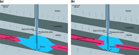 Snapshots Of Differences Of Wavefields For Different Production Download Scientific Diagram
