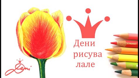 Как се рисува цвете лале 🌷 Рисувай лаленце с Дени 🌷 Как се рисува