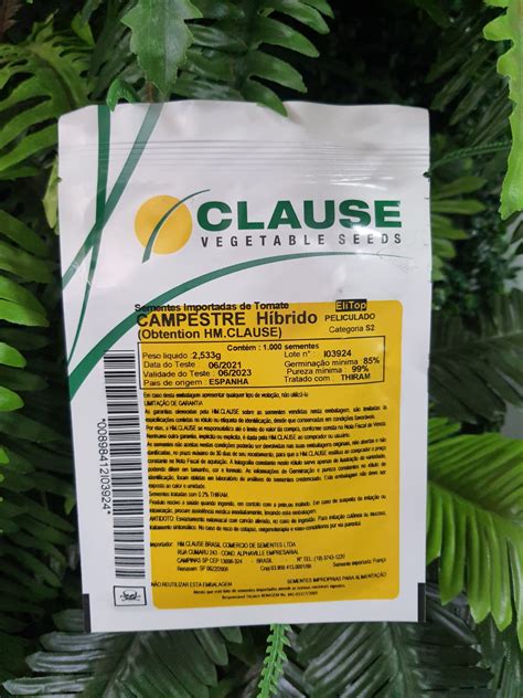 Sementes de Tomate Campestre Híbrido - Clause - 1.000 sementes