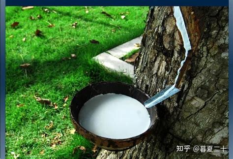 享久4步选出心头好套 知乎